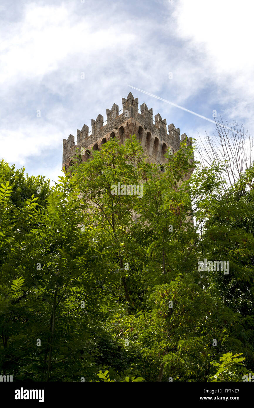 Castle's tower hidden in the woods Stock Photo - Alamy