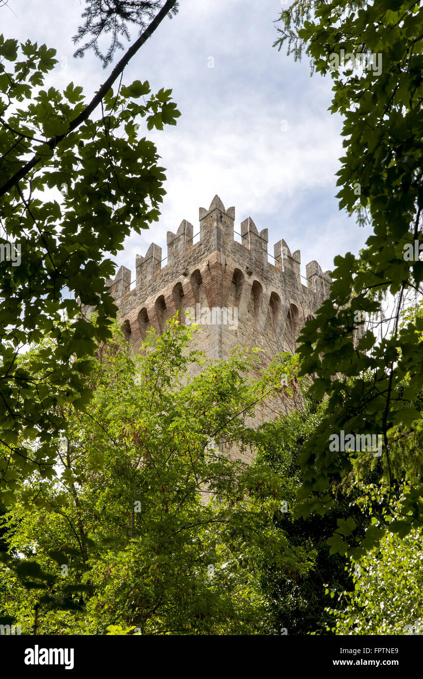 Castle's tower hidden in the woods Stock Photo - Alamy