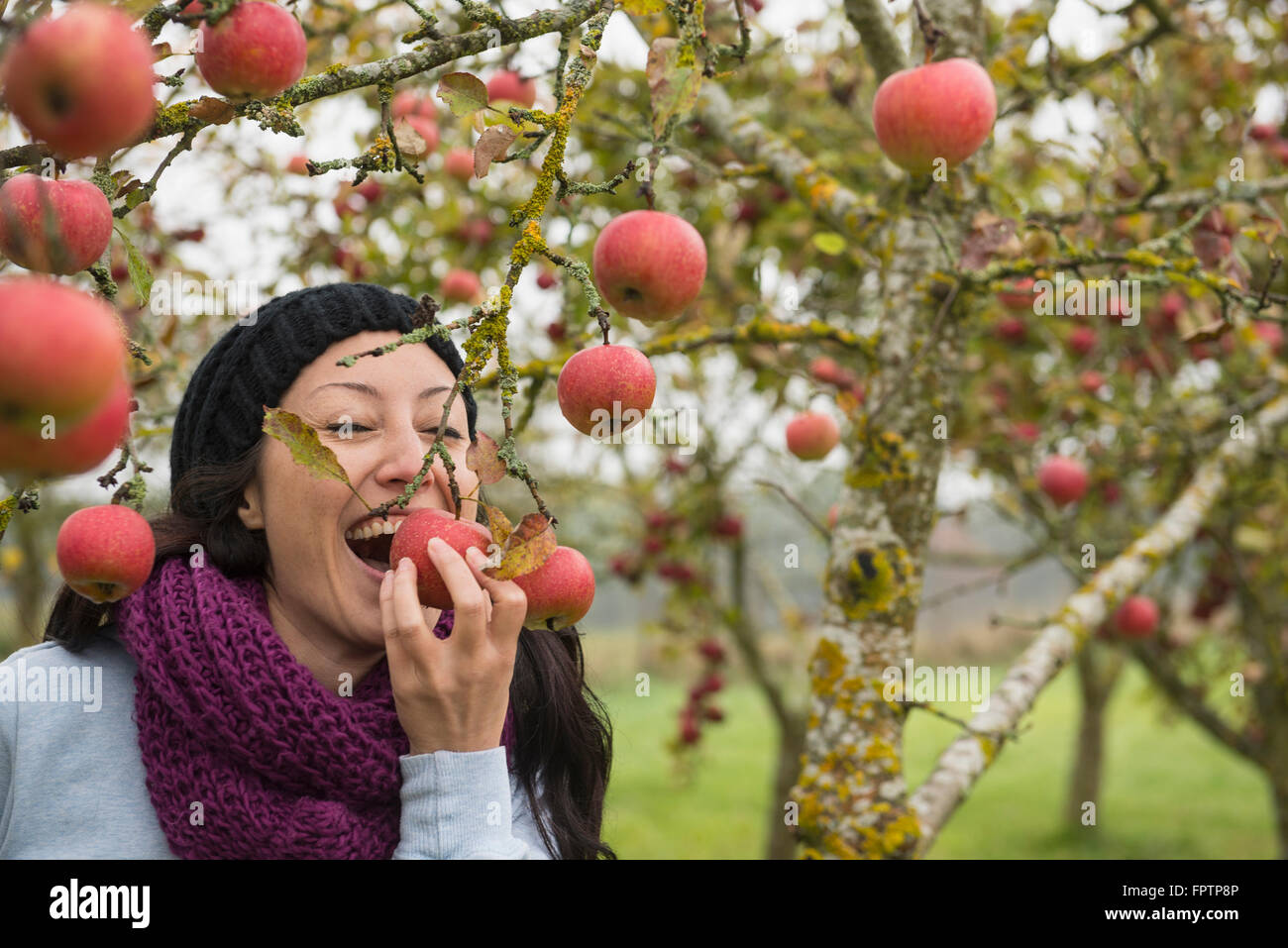 Woman in red sweatshirt on the field hi-res stock photography and ...