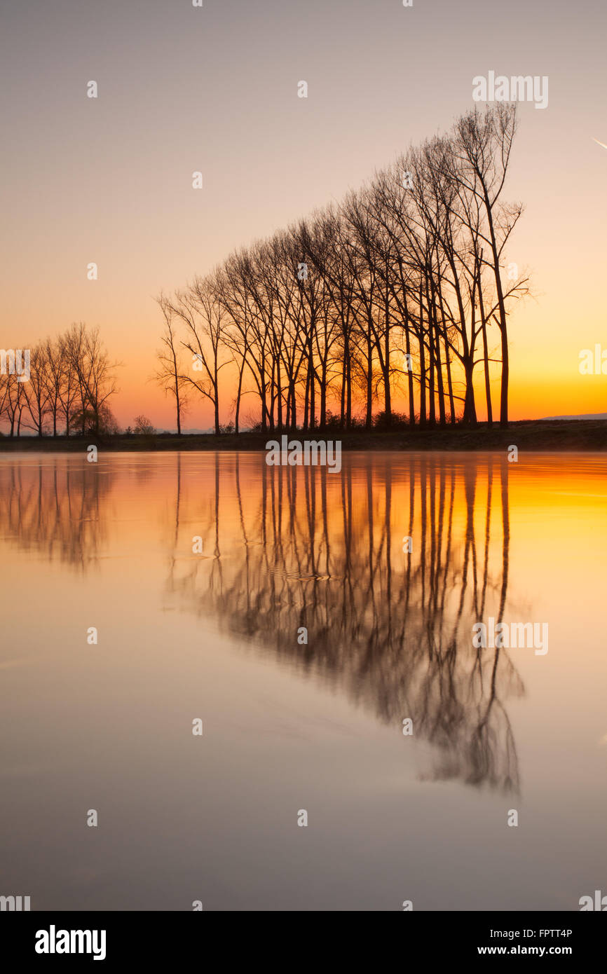 C symmetry hi-res stock photography and images - Alamy