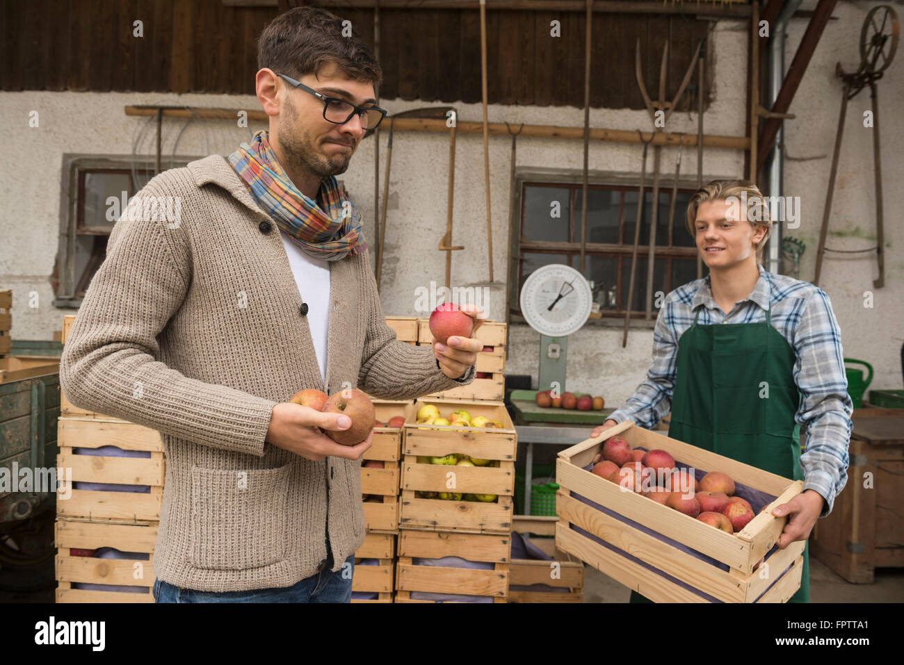 Critical wholesale purchaser buying apples in organic farm, Bavaria ...