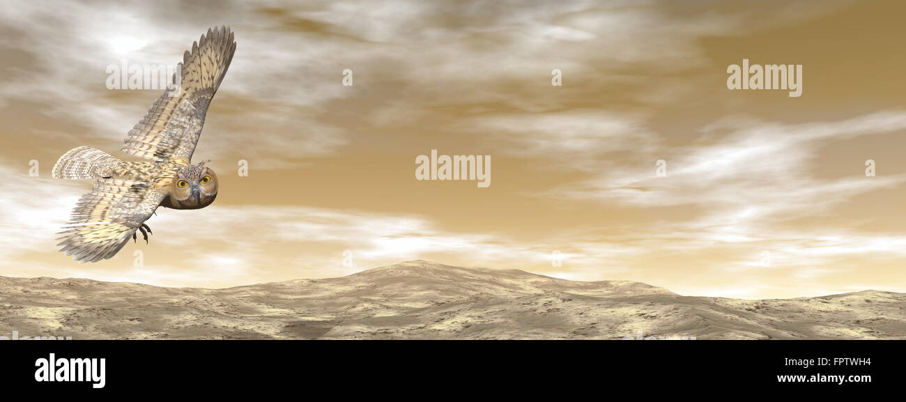 Brown owl flying in the sky by sunset - 3D render Stock Photo - Alamy