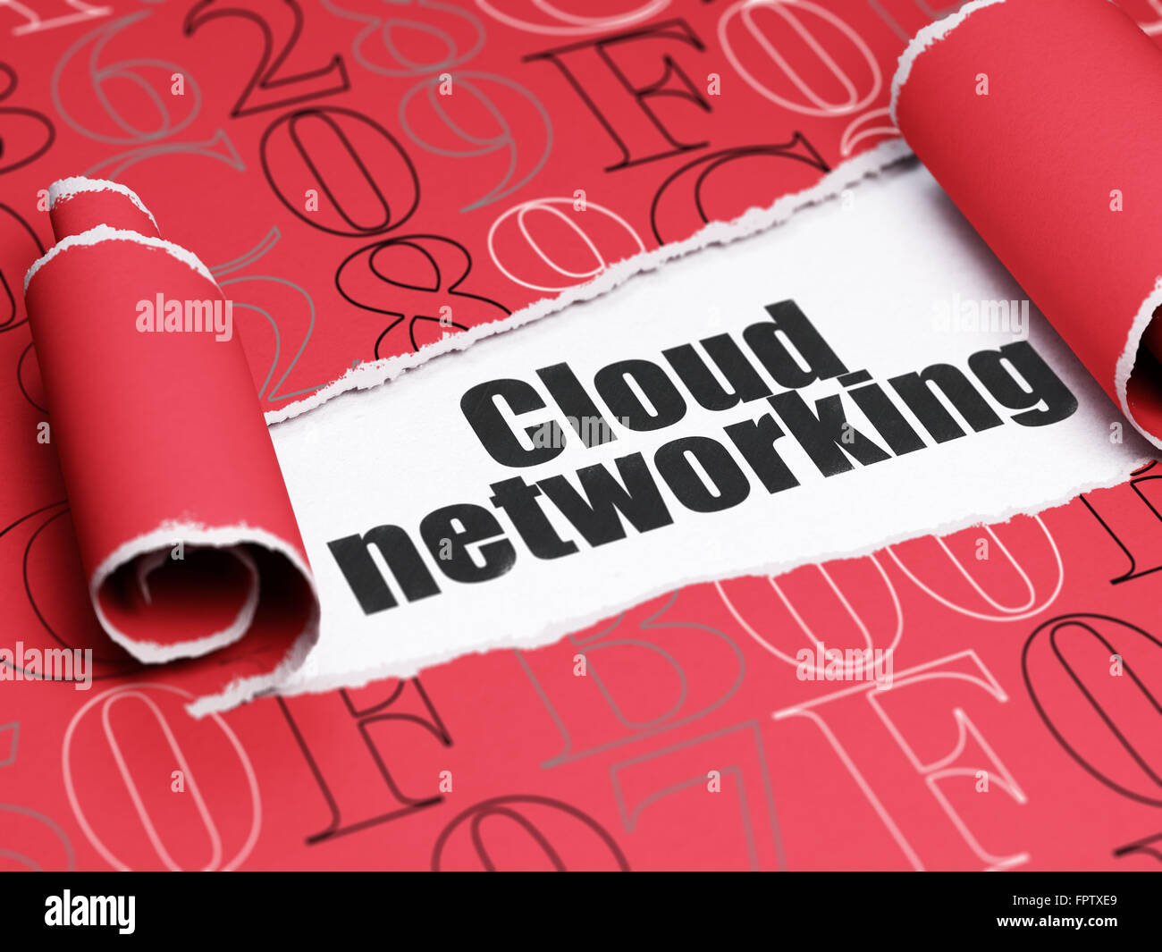Cloud technology concept: black text Cloud Networking under the piece ...