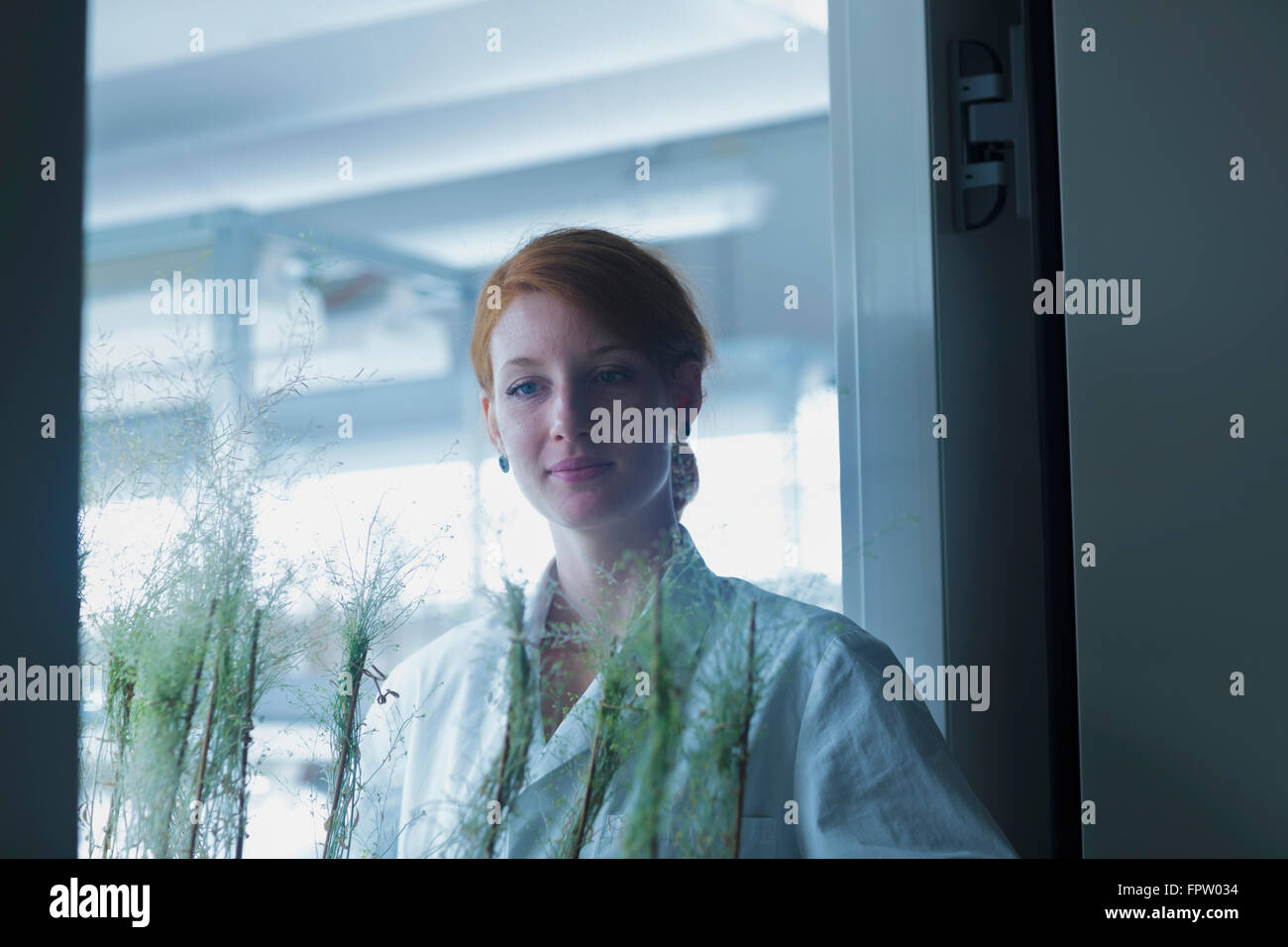 Young female engineer checking plants in an industrial plant, Freiburg ...