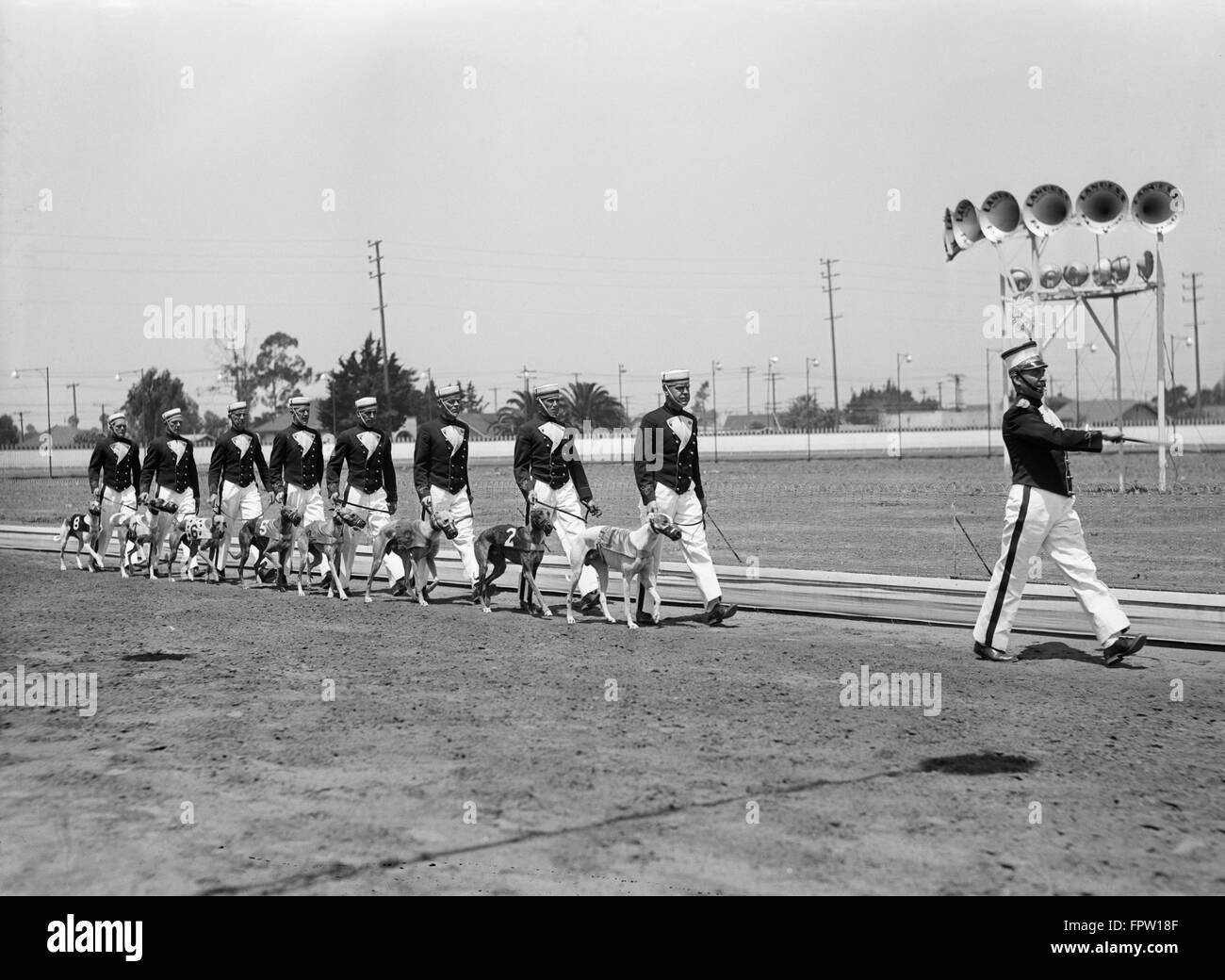 1930s GROUP OF MEN TRAINERS WEARING UNIFORMS WALKING RACING DOGS ALONG ...