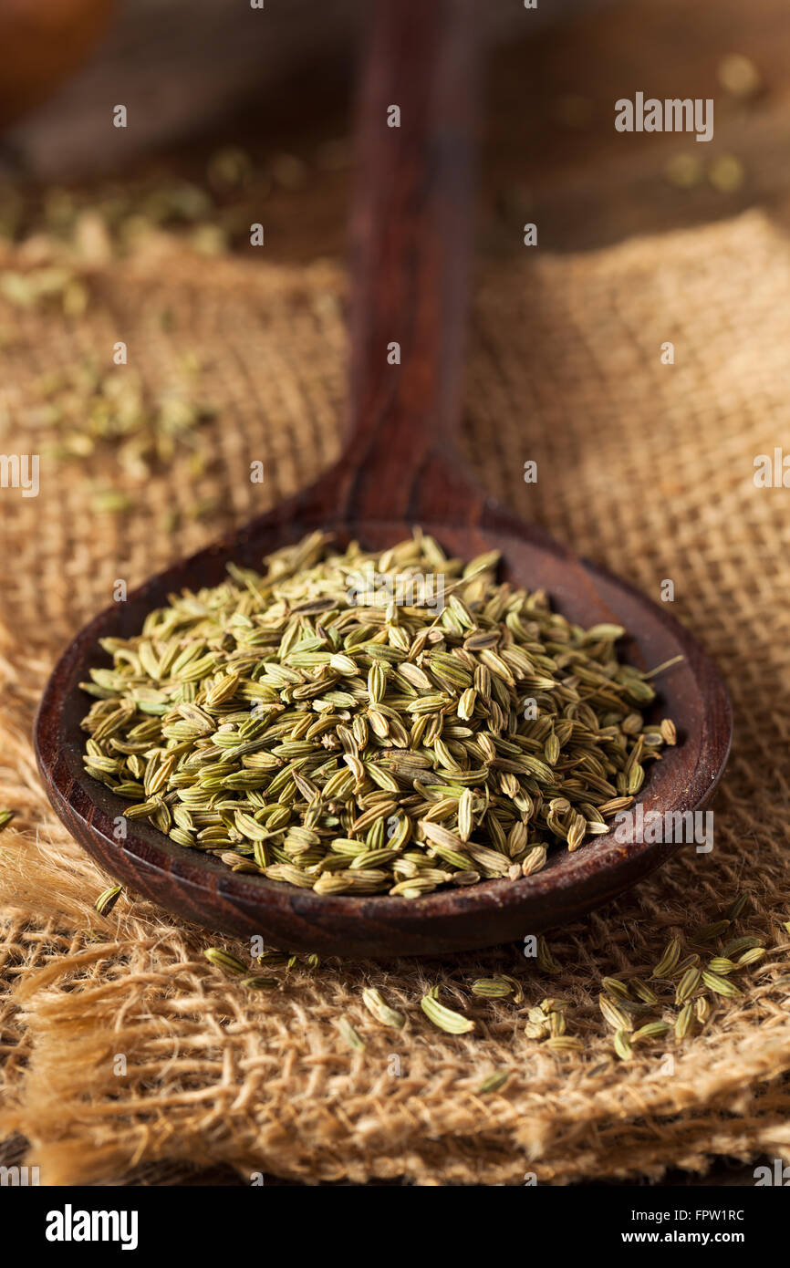 Fennel seeds texture hi-res stock photography and images - Alamy