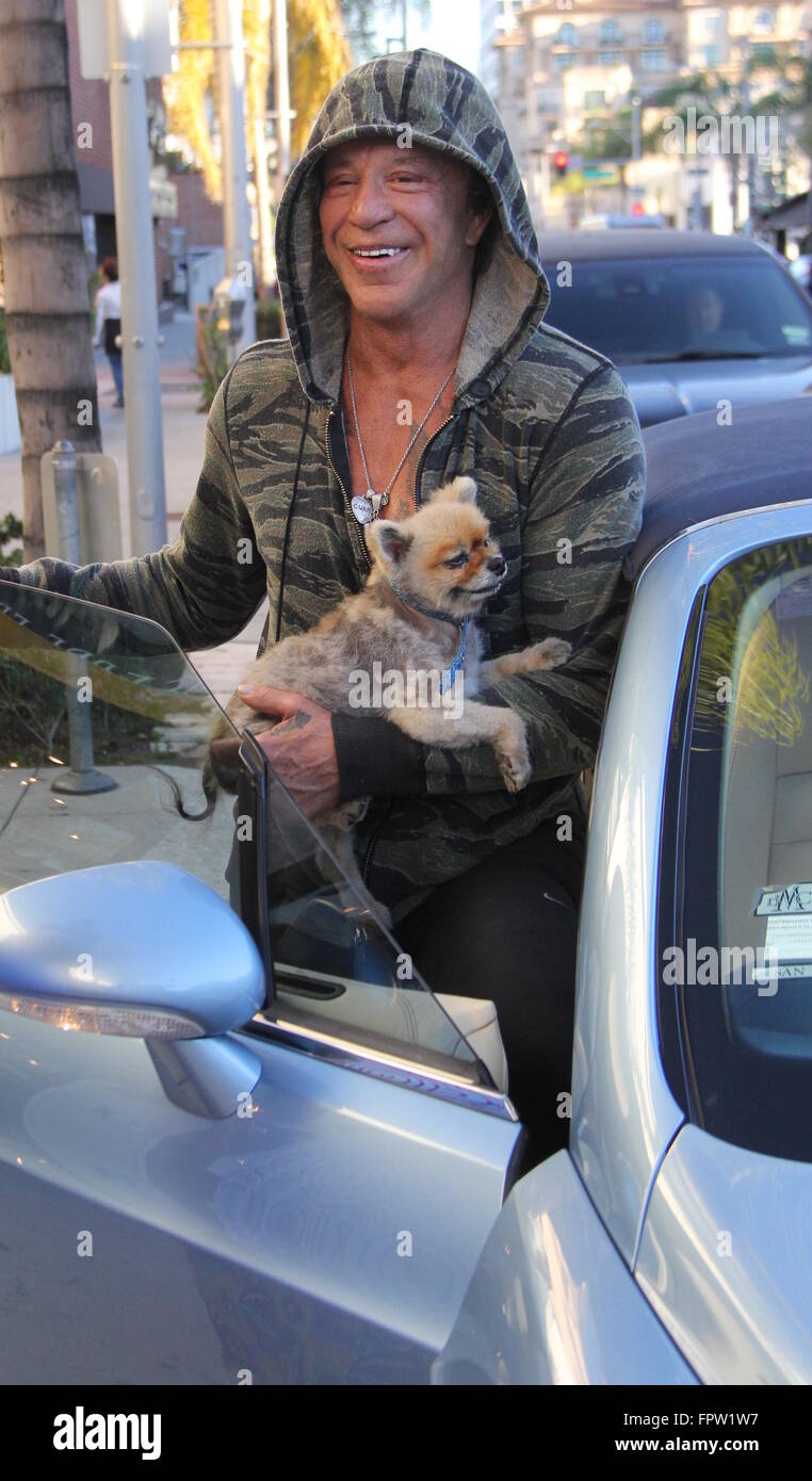 Mickey Rourke out shopping in Beverly Hills with his pet pooch ...