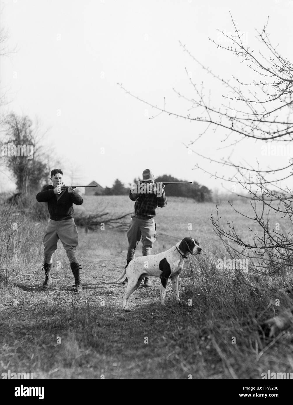 1930s TWO MEN HUNTING SHOOTING SHOTGUNS WITH POINTING DOG Stock Photo ...