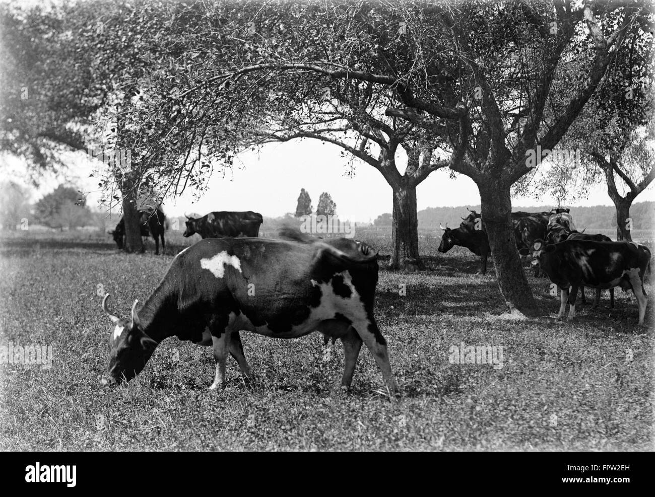 1890s agriculture hi-res stock photography and images - Alamy