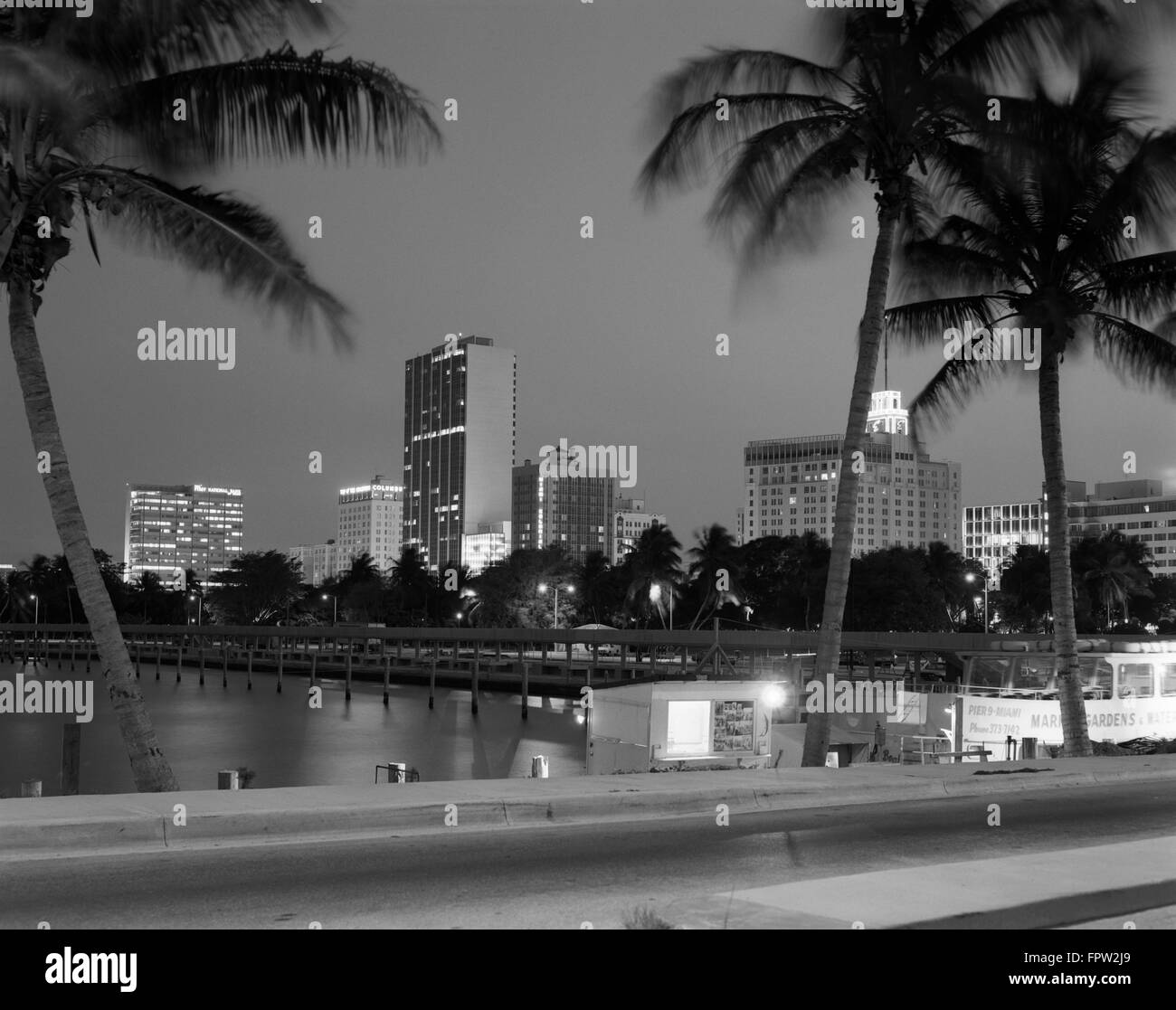 1970s NIGHT VIEW SKYLINE WITH PALM TREES MIAMI FLORIDA USA Stock Photo ...