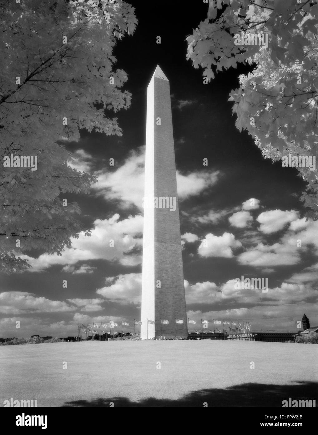 Tallest Monumental Column High Resolution Stock Photography and Images ...