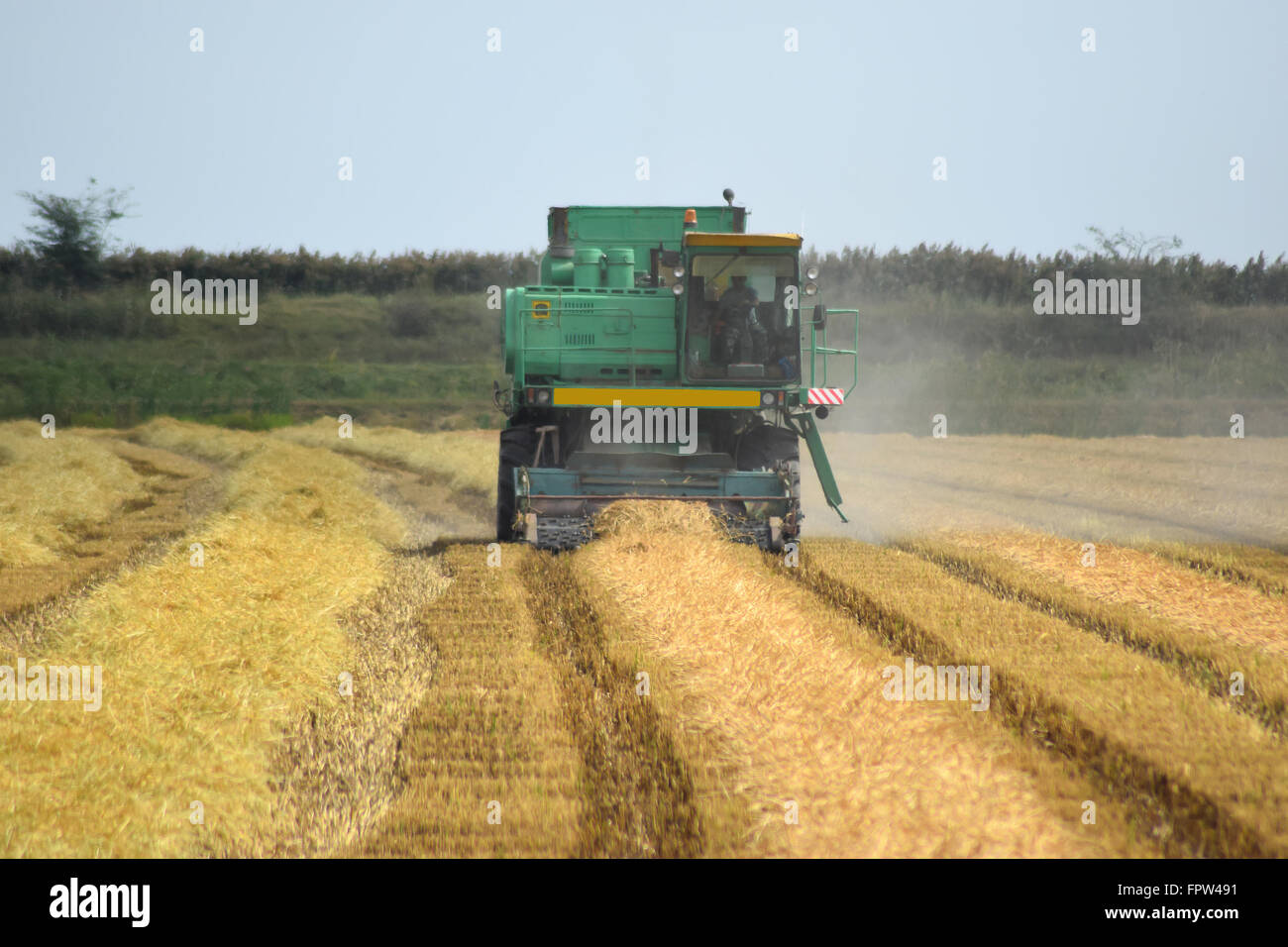 Combine harvester working in rice hi-res stock photography and images ...