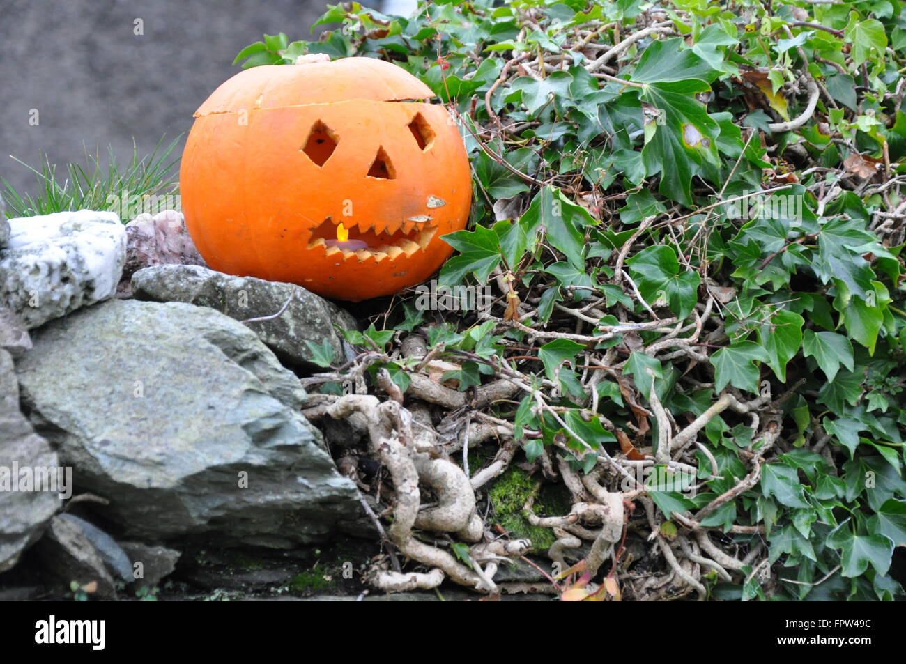 carved pumpkin fun on halloween Stock Photo - Alamy