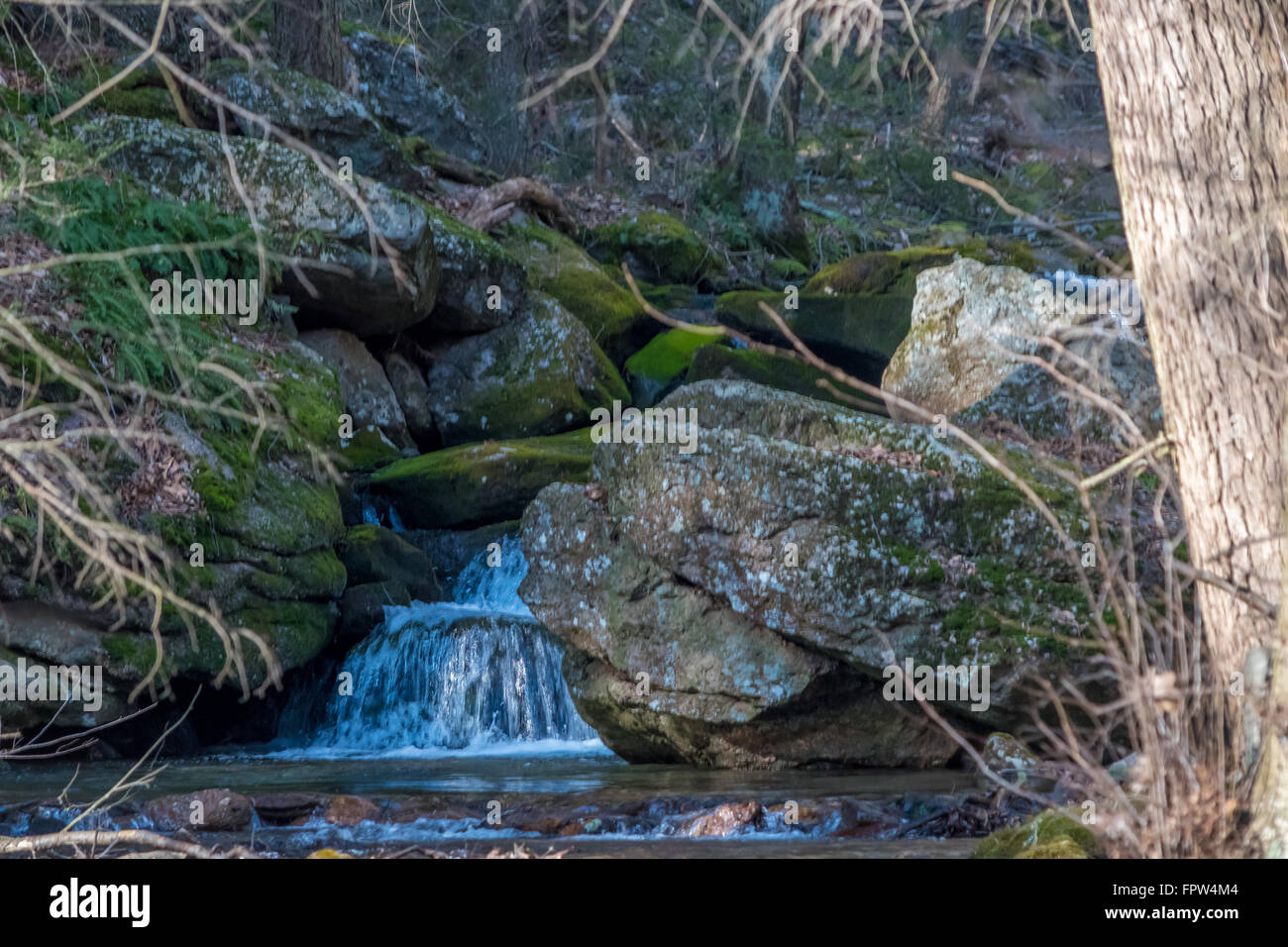 Beautiful Mountain waterfall in a central Pennsylvanian forest Stock ...