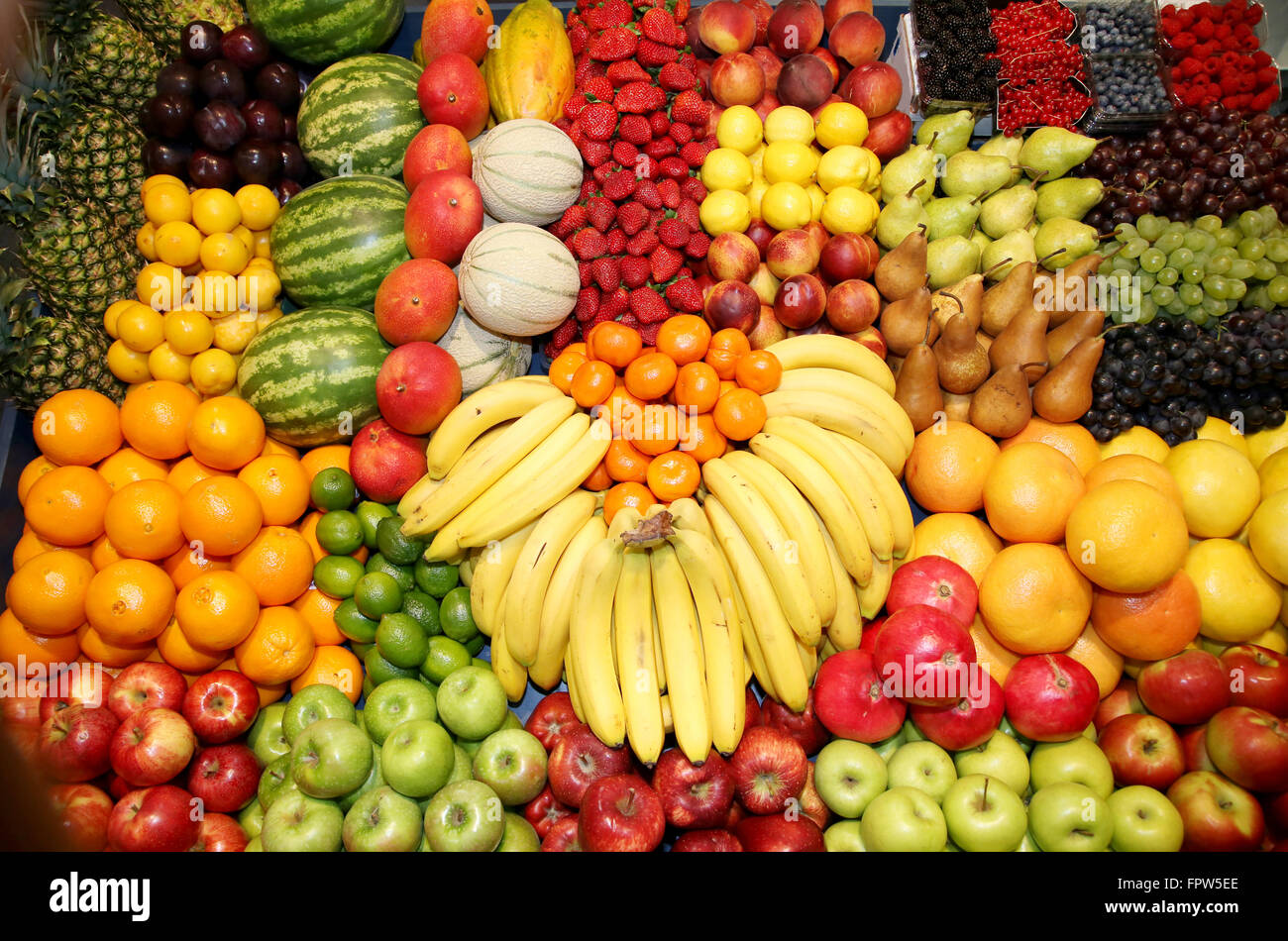 Melone vine hi-res stock photography and images - Alamy