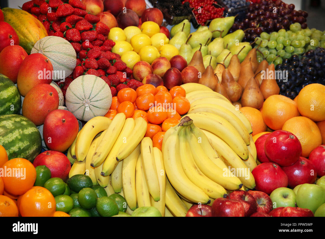 Collection of freshly picked fruits as background. Frame composition of ...