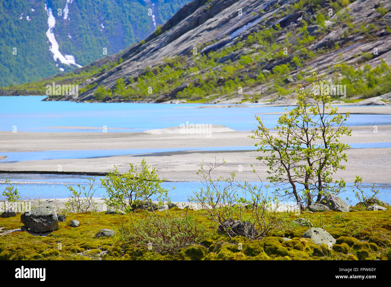 Norwegian landscape with glacial river, moss and trees in ...