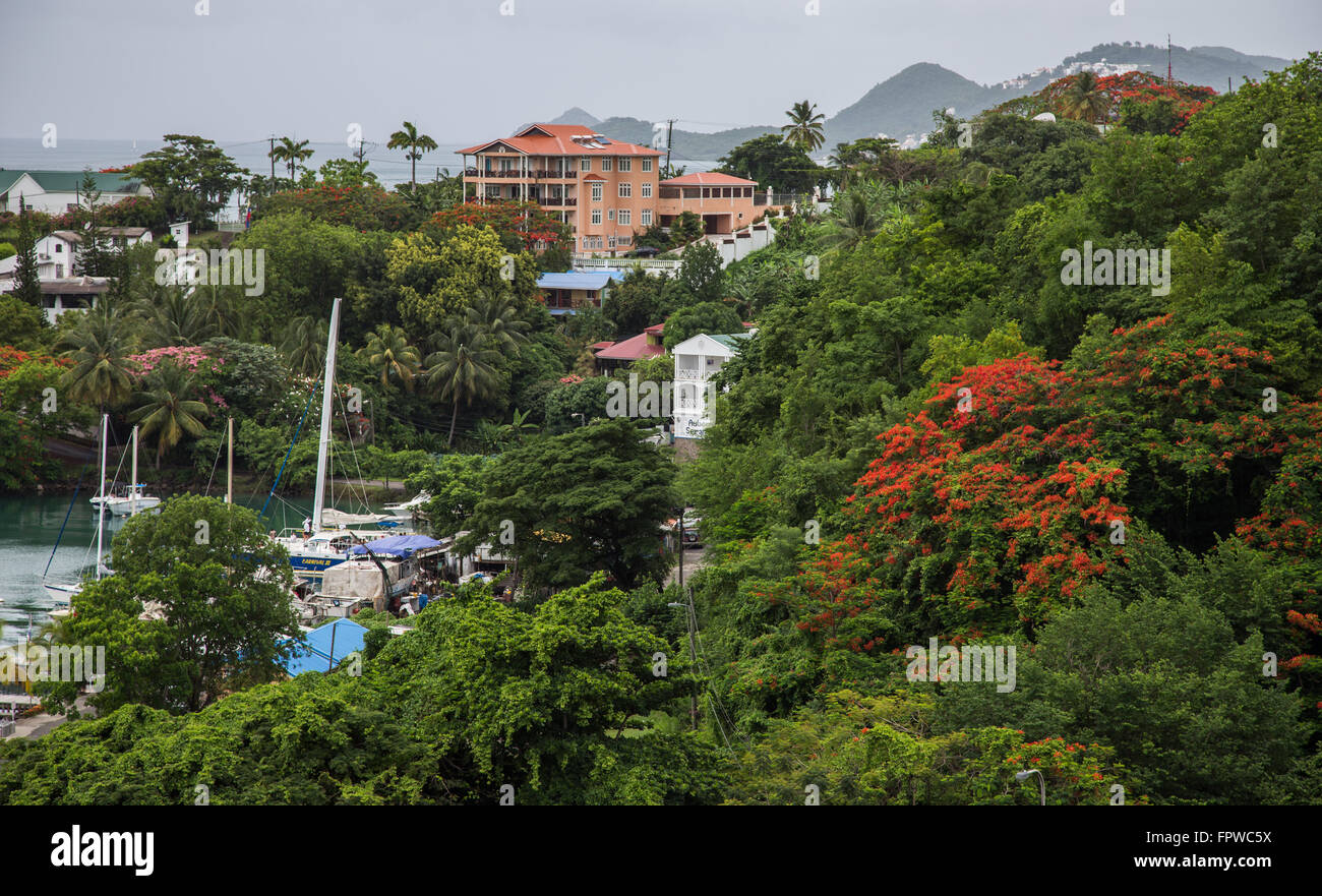 Castries City, Saint Lucia- Harbor in this little Caribbean nation ...