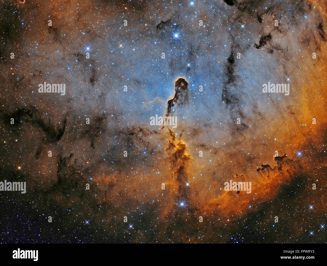 IC 1396, the Elephant Trunk Nebula, in the constellation Cepheus Stock ...