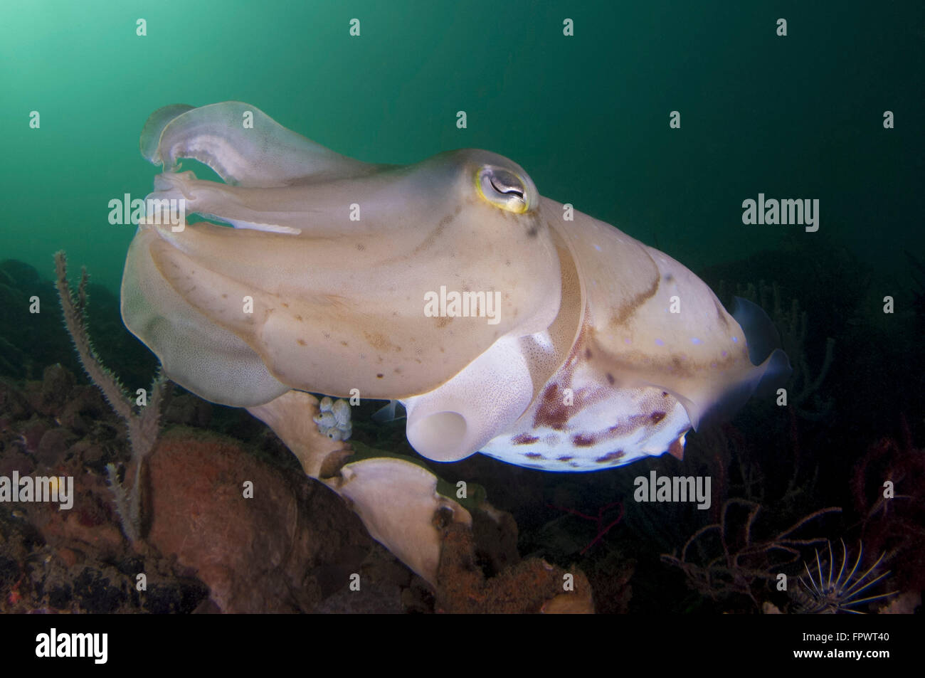 Full body view hi-res stock photography and images - Alamy