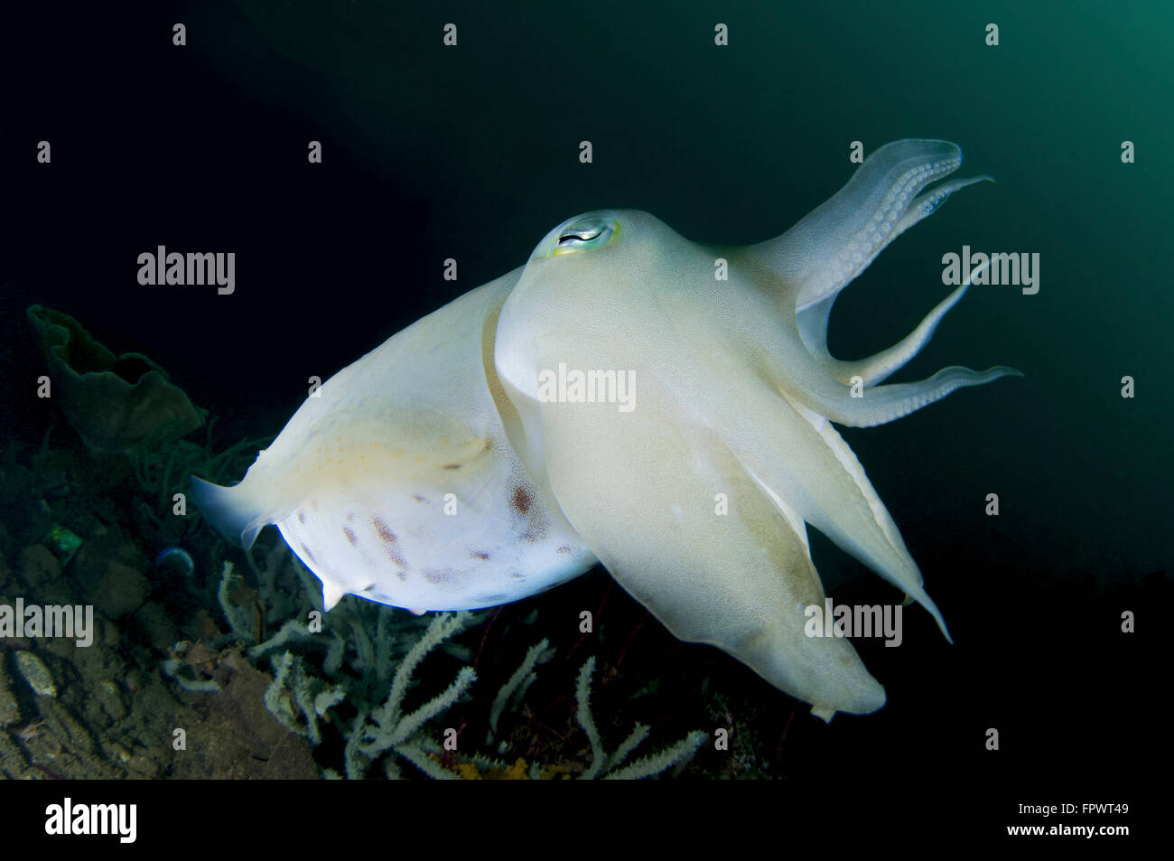 Full body view hi-res stock photography and images - Alamy