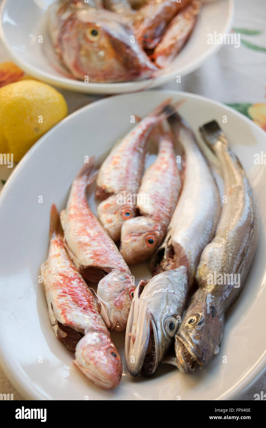 Prepare fish hi-res stock photography and images - Alamy