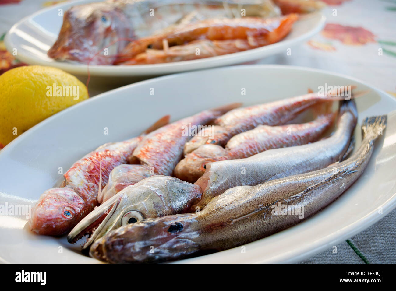 red mullets and small codfishes to prepare fish soup Stock Photo - Alamy