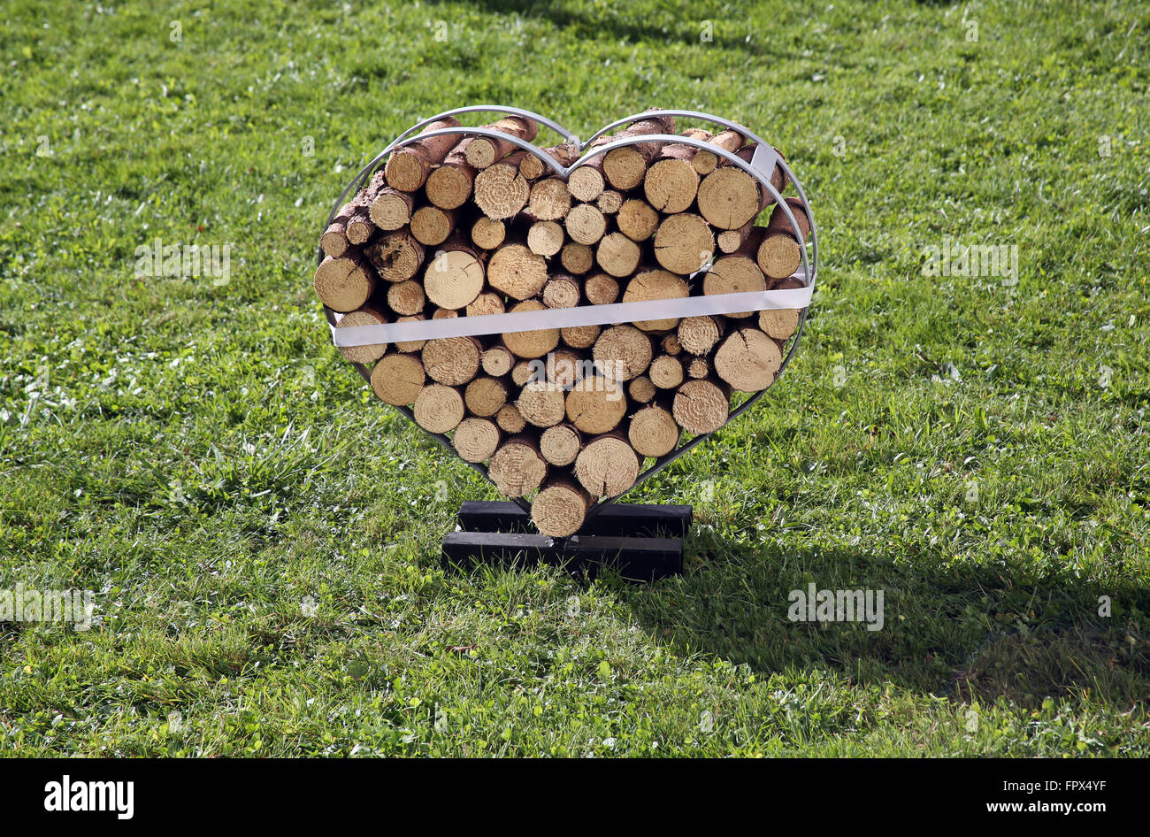 Heart of wood Stock Photo - Alamy