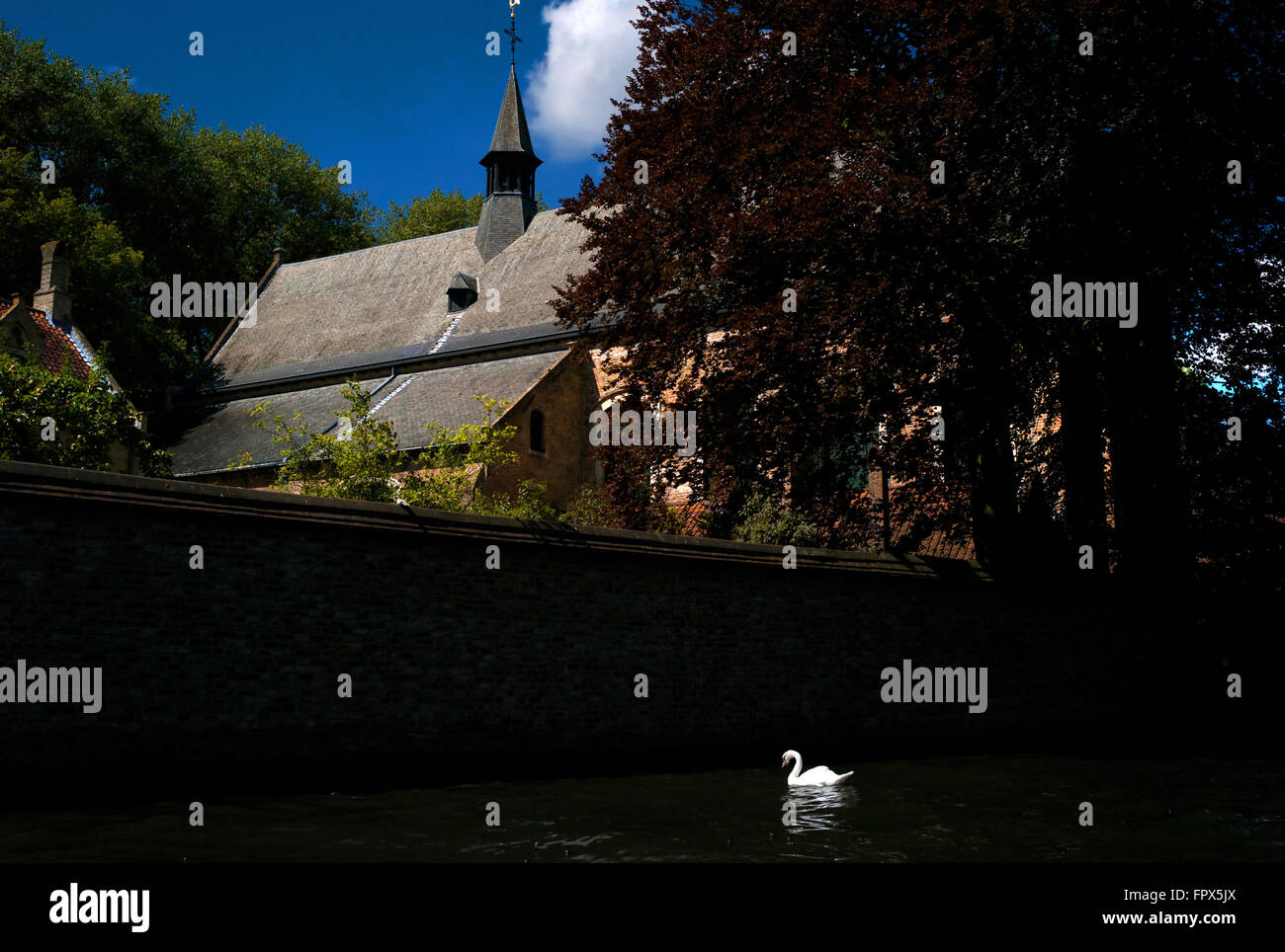 Lady bird blue house hi-res stock photography and images - Alamy