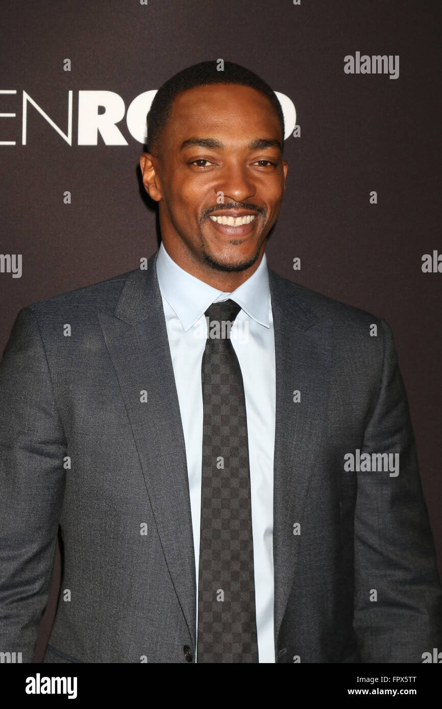 Anthony Mackie Red Carpet Event High Resolution Stock Photography and ...
