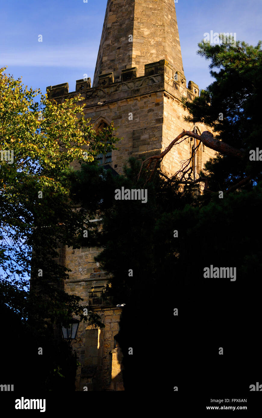 Peter Pickering High Resolution Stock Photography and Images - Alamy