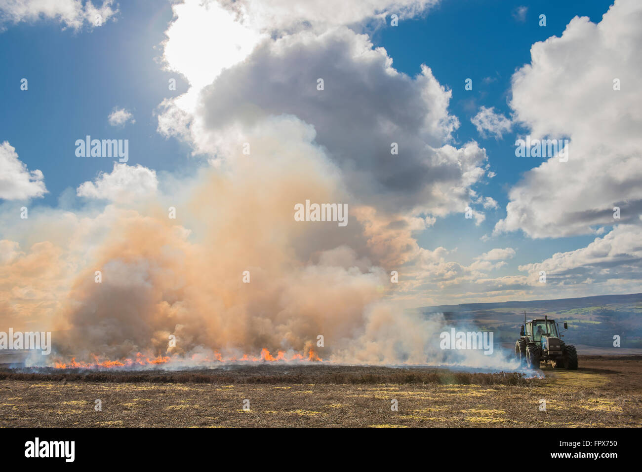 Gamekeeper on yorkshire moors hi-res stock photography and images - Alamy