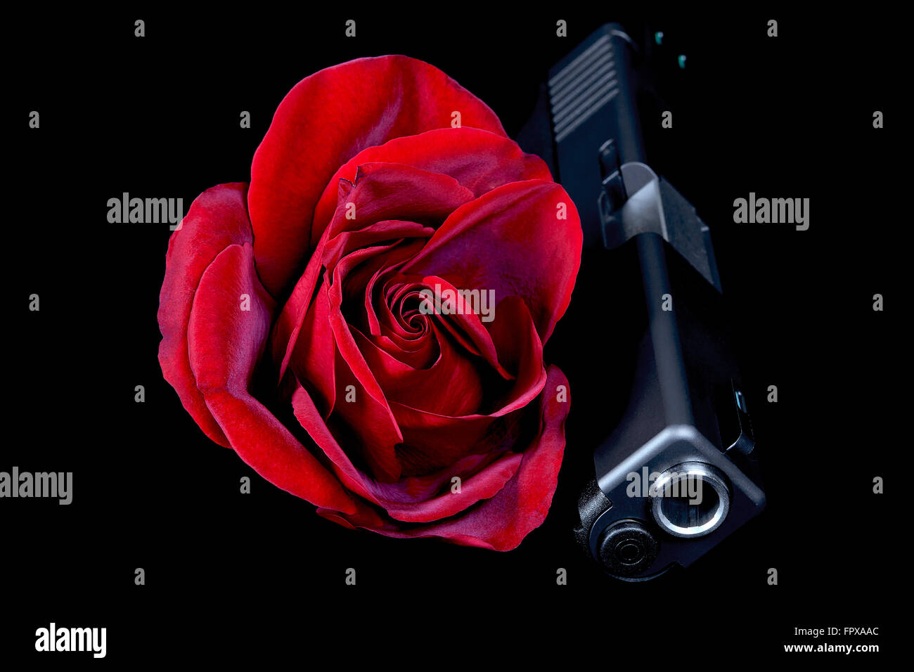 red rose with gun closeup on black background Stock Photo - Alamy