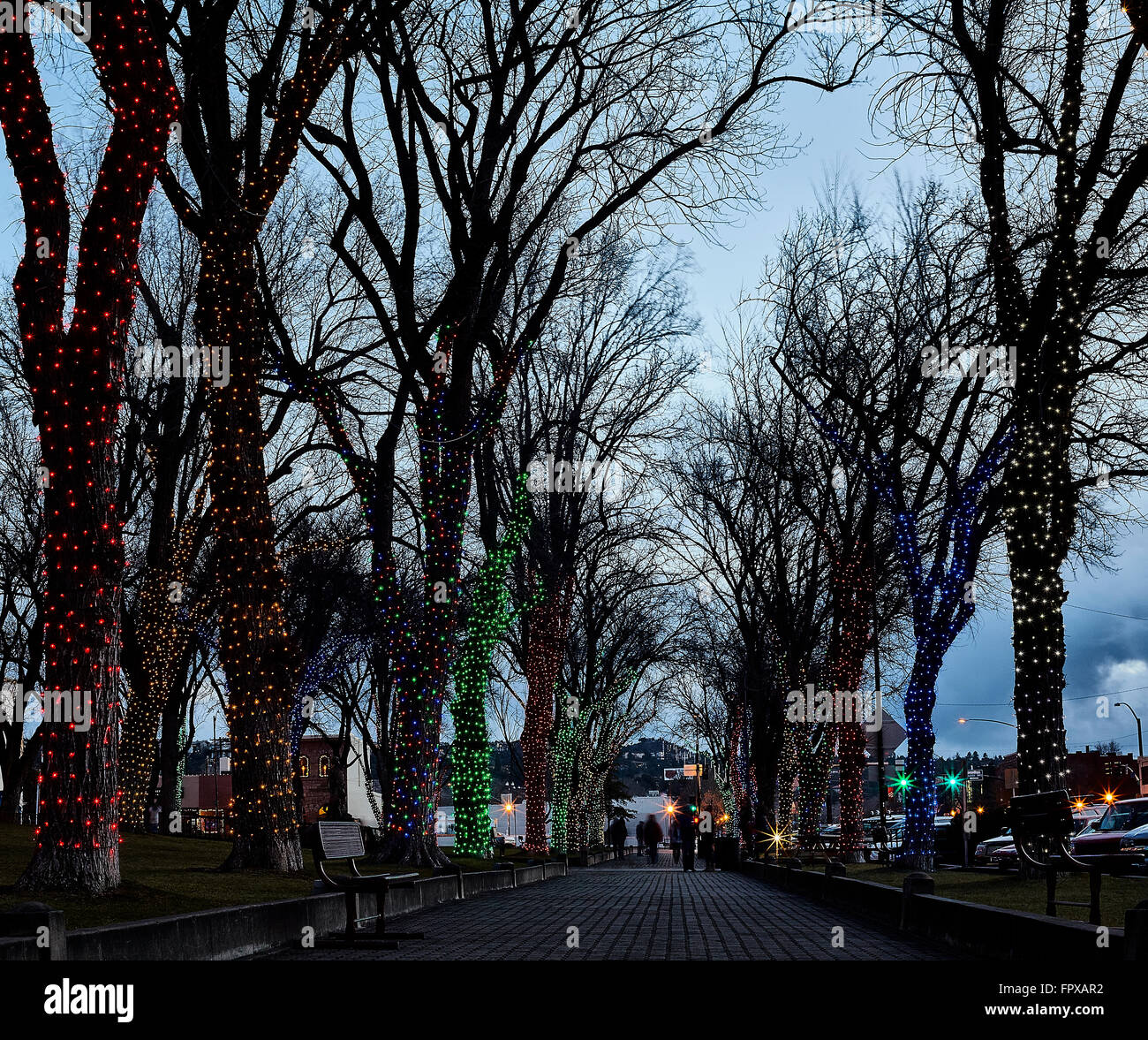 people strolling colored tree light lined walkway at sunset night on ...