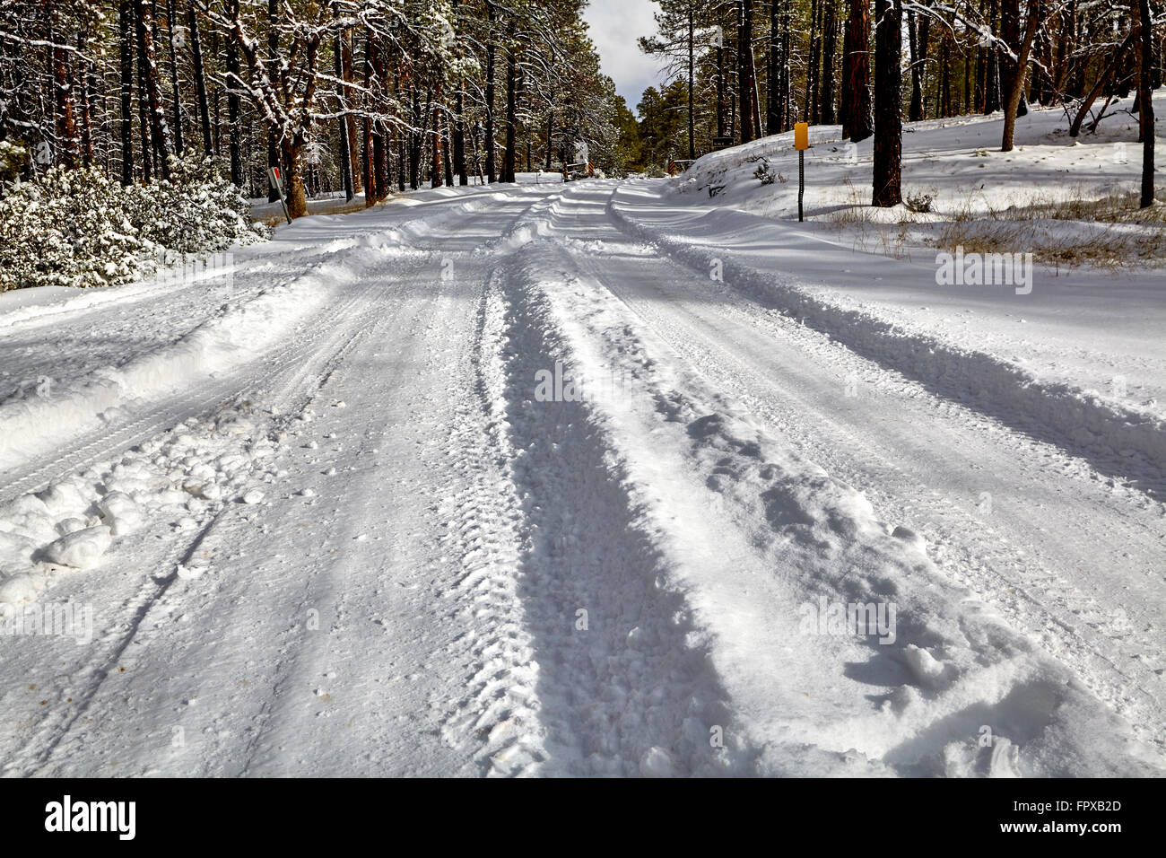 winter snow forest mountain road landscape with tire tracks Stock Photo ...