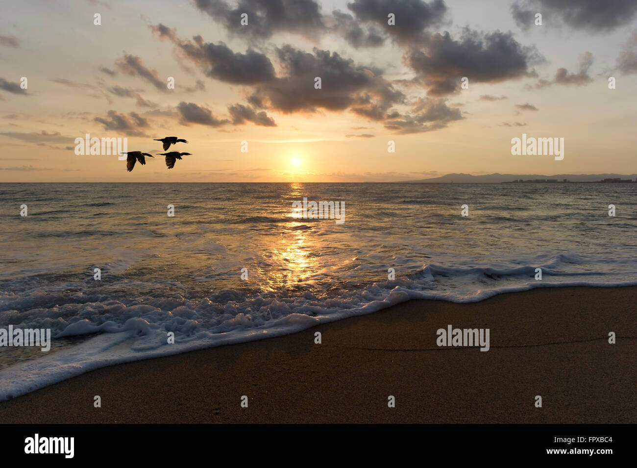 Flying towards sunset beach hi-res stock photography and images - Alamy