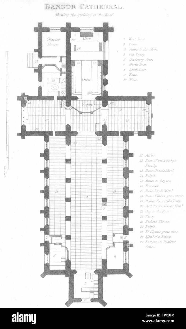Groining hi-res stock photography and images - Alamy