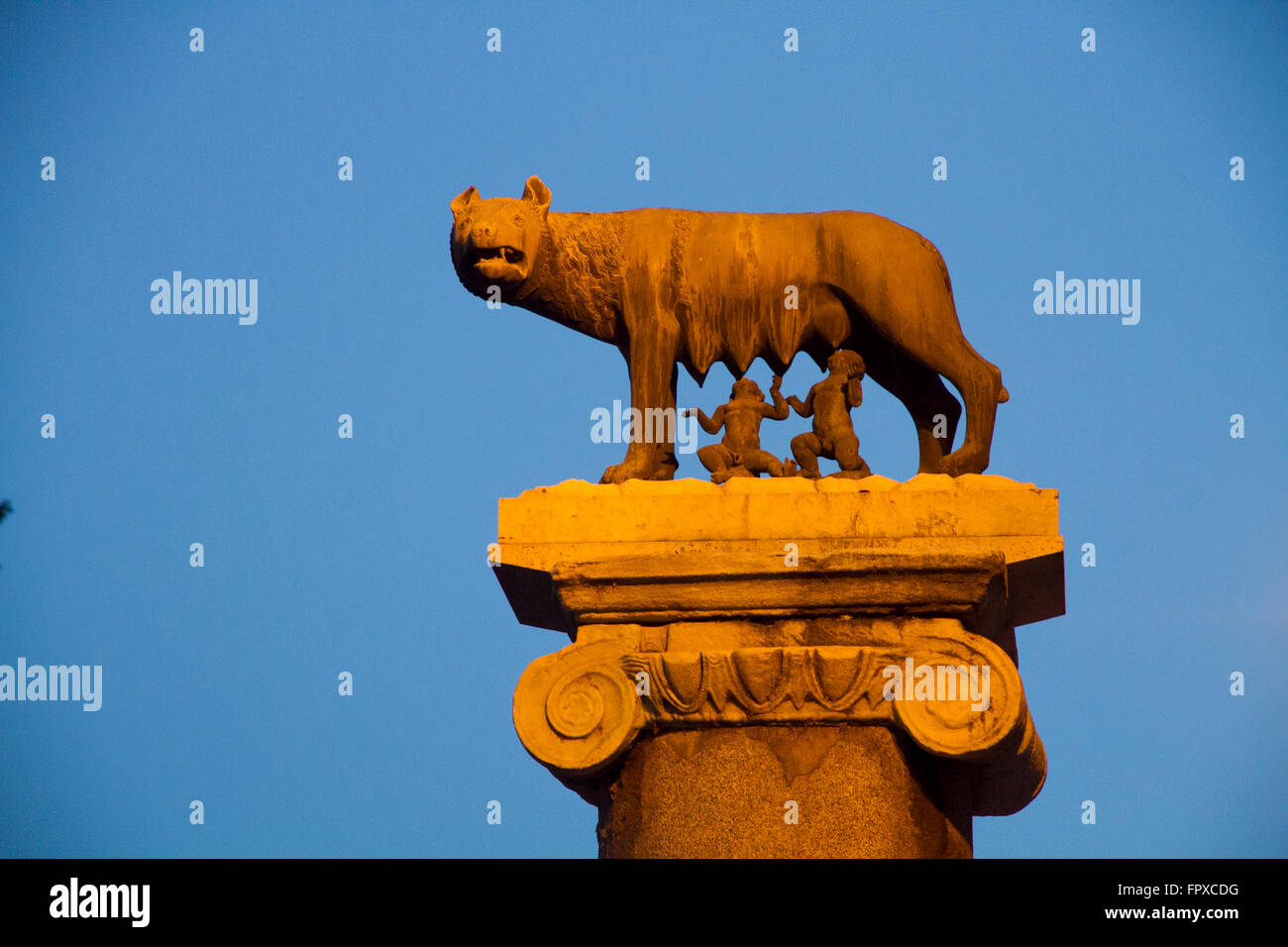 The wolf suckling the twins romulus and remus hi-res stock photography ...