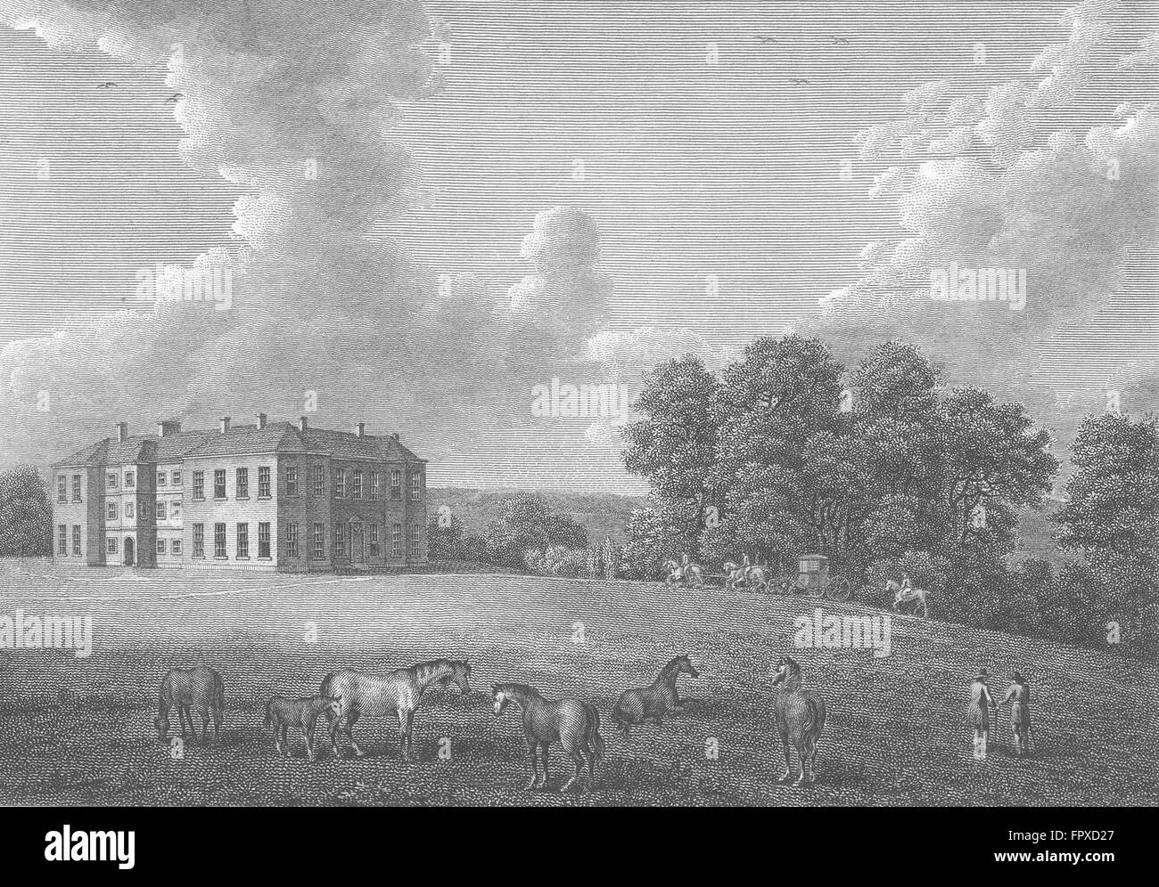 YORKS: Lartington in, Henry Maire: Angus horses, antique print 1790 ...