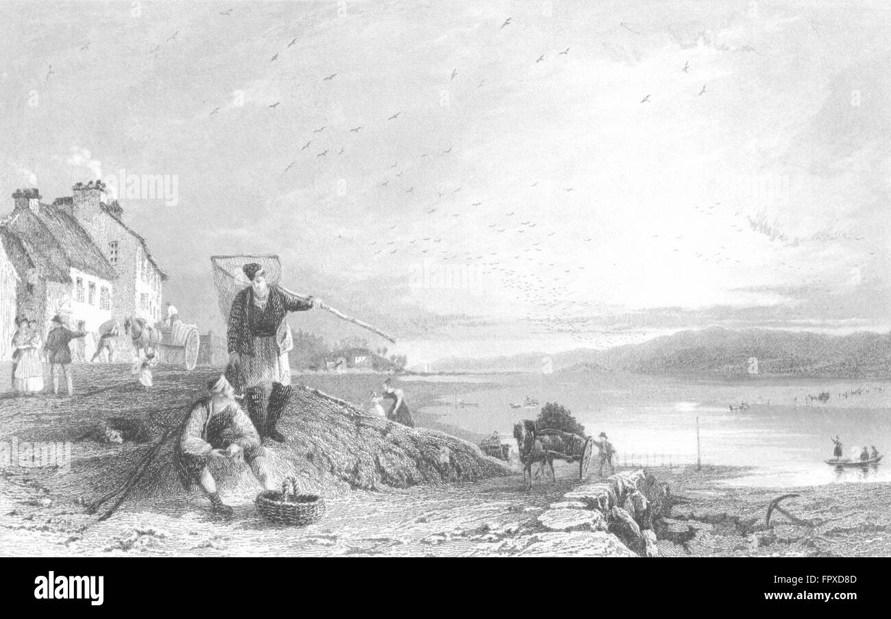 WESTMORLAND: Milnthorpe Sands: Allom, antique print 1832 Stock Photo ...