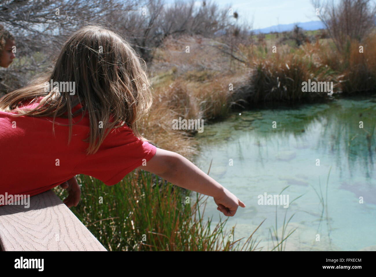 Child Pointing into a Pond Stock Photo - Alamy