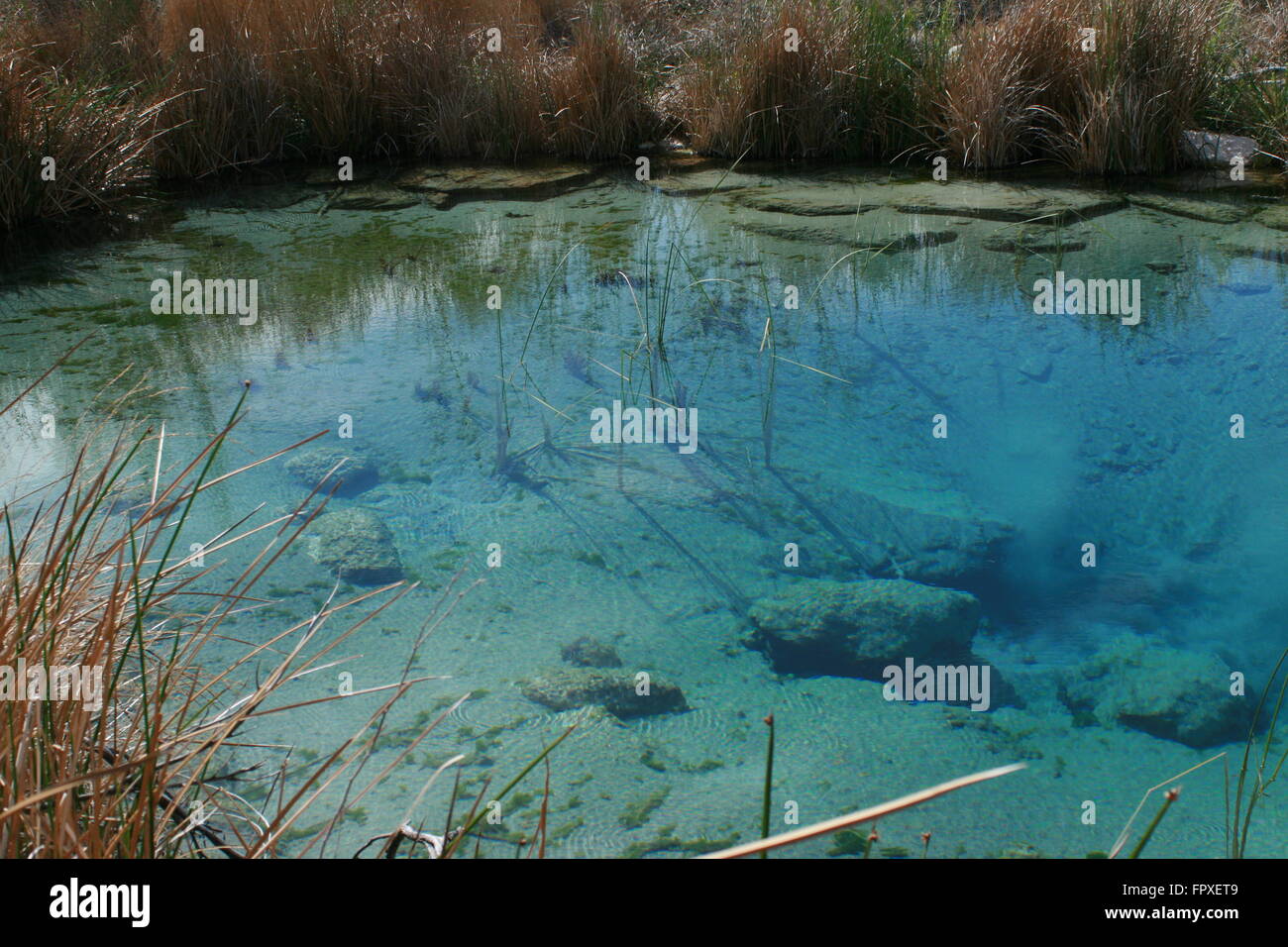 Ash Meadows Wildlife Refuge Southwestern Nevada Ice Blue Springs Stock ...