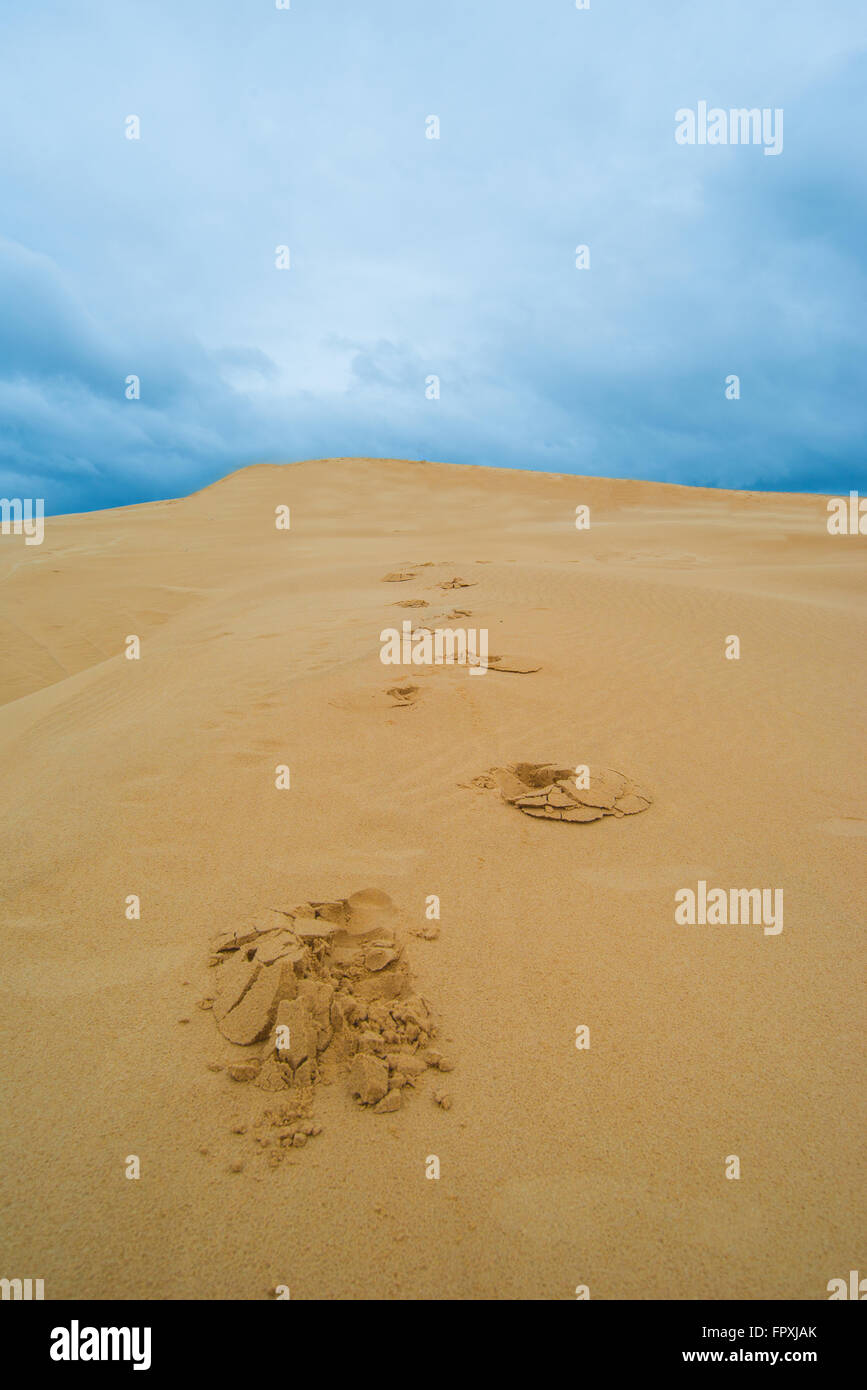 Vanishing footprints hi-res stock photography and images - Alamy Vanishing footprints hi-res stock photography and images - Alamy