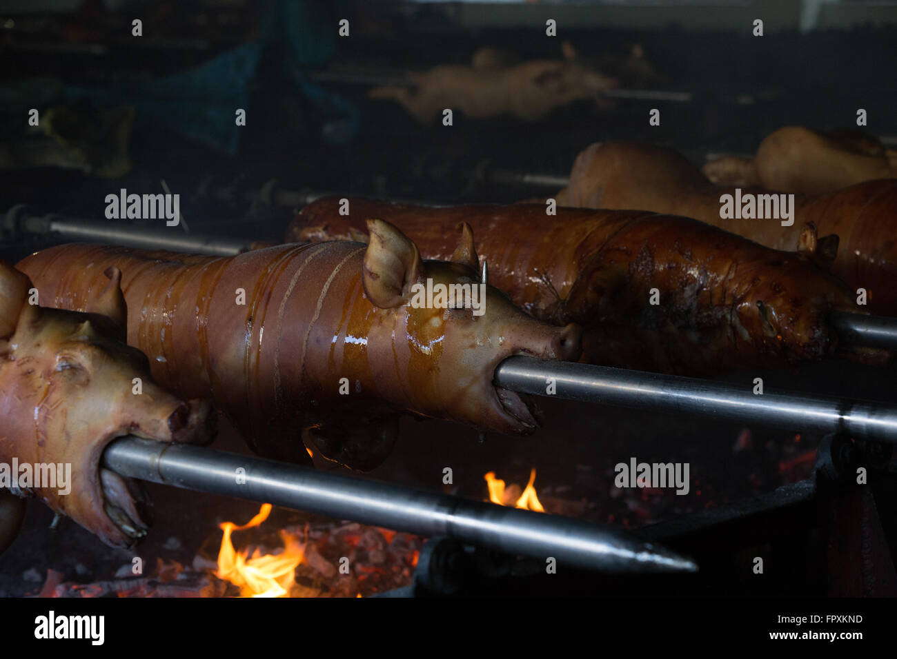 A culinary dish of the Philippines is a spit roasted pig known as ...