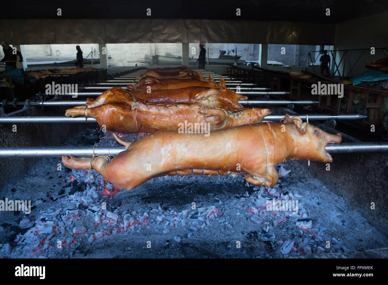 A culinary dish of the Philippines is a spit roasted pig known as ...