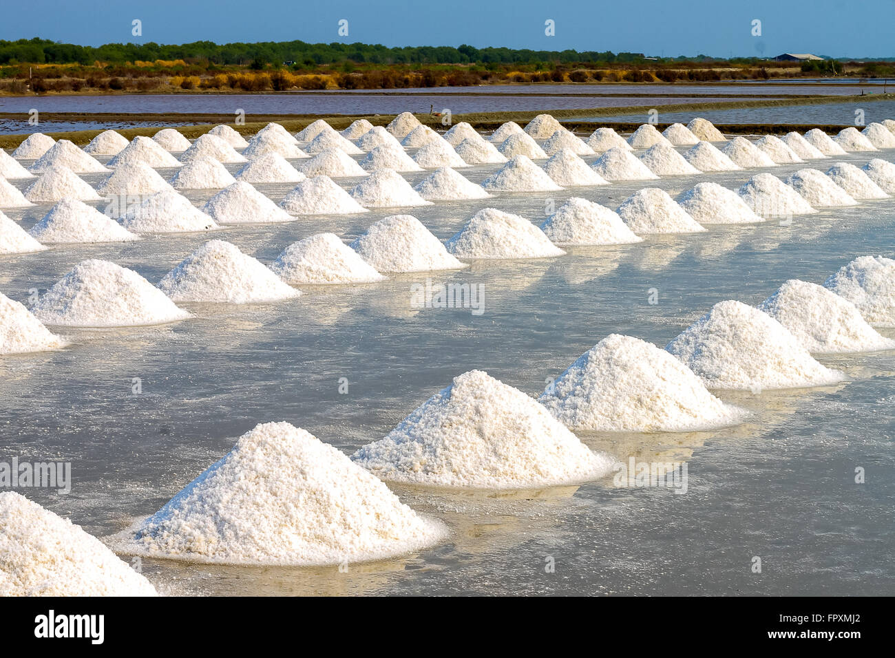 salt at the salt field Stock Photo - Alamy
