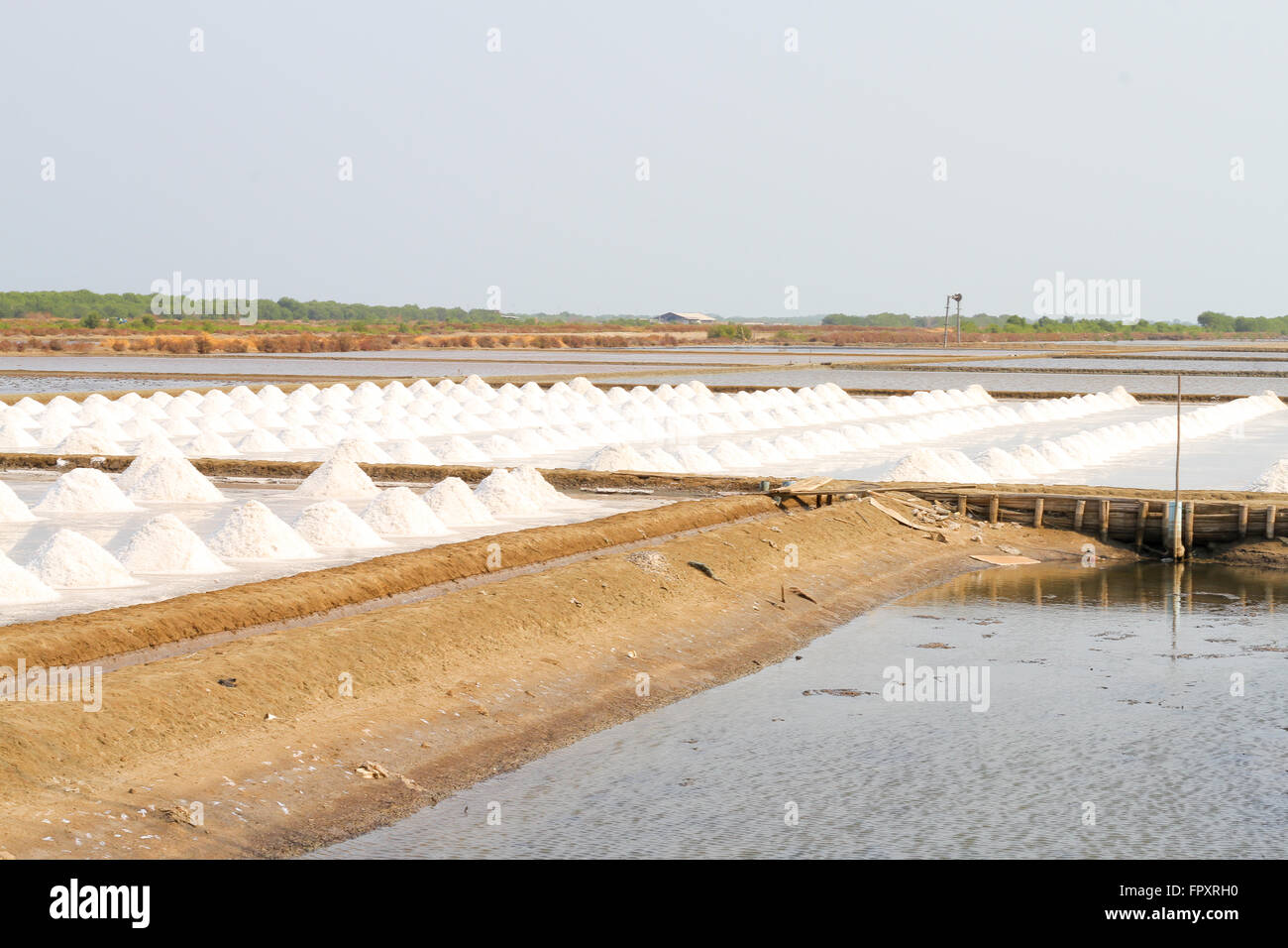 Salt fields with mess of salt piled up sea salt in Thailand Stock Photo ...