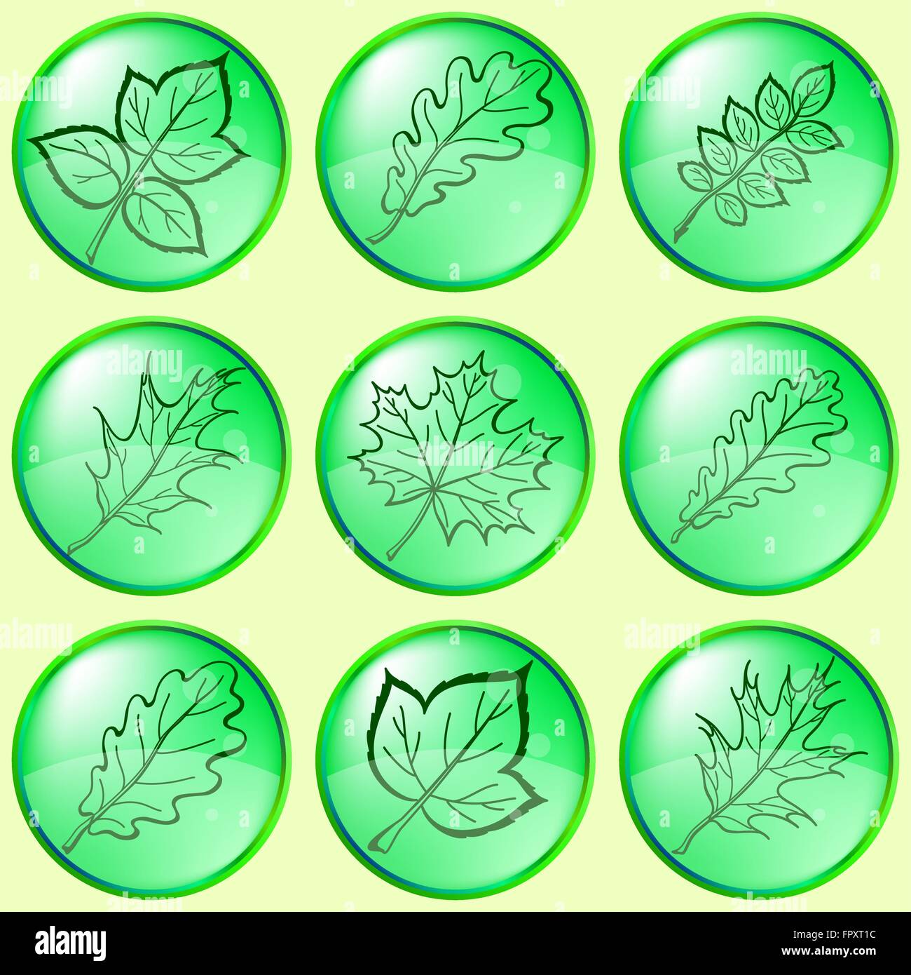Leaves buttons, set Stock Vector Image & Art - Alamy