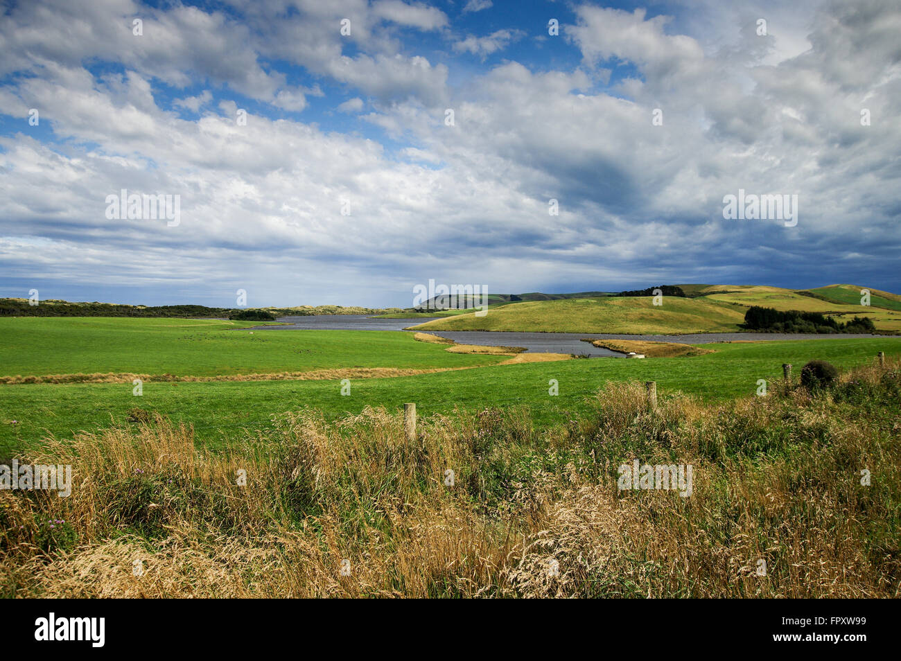 Catlins coast new zealand hi-res stock photography and images - Alamy