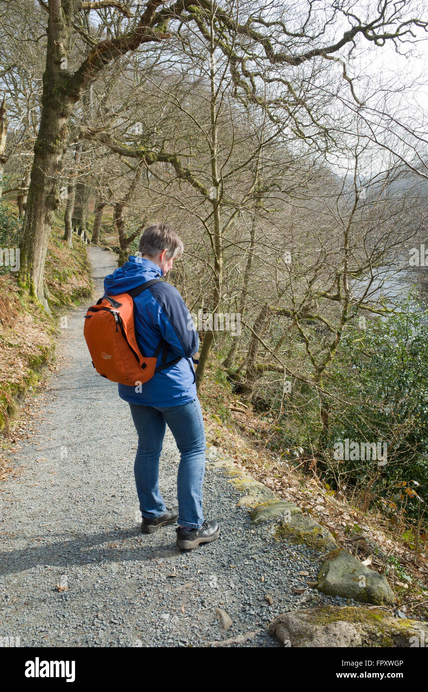 Lady walking along forest path Stock Photo - Alamy